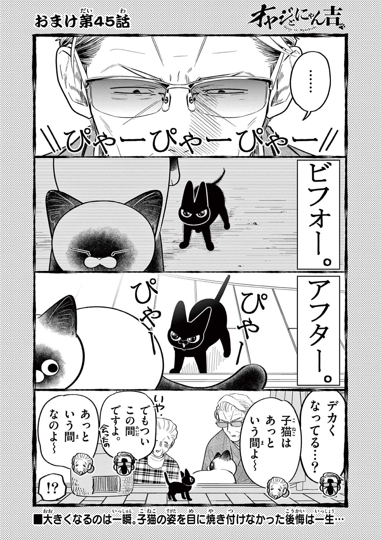 Oyaji to Nyankichi Chapter 45.5 – Rawkuma